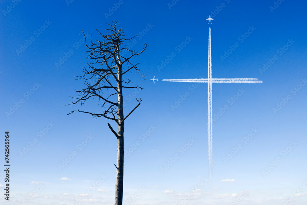 dead pine tree, condensation trails in shape of a cross, in blue sky as ...