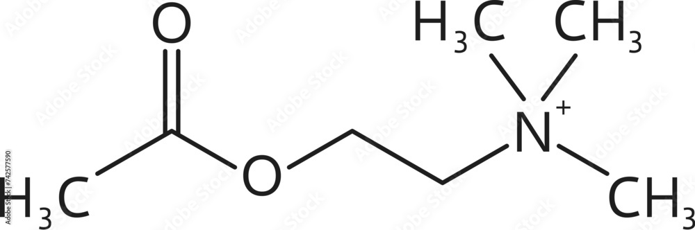 Image vectorielle Stock Neurotransmitter, Acetylcholine ACh chemical ...