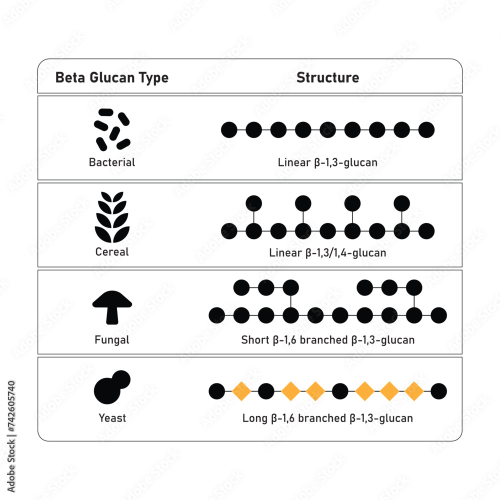 Types of Beta Glucan Molecule Structure Scientific Design. Vector ...