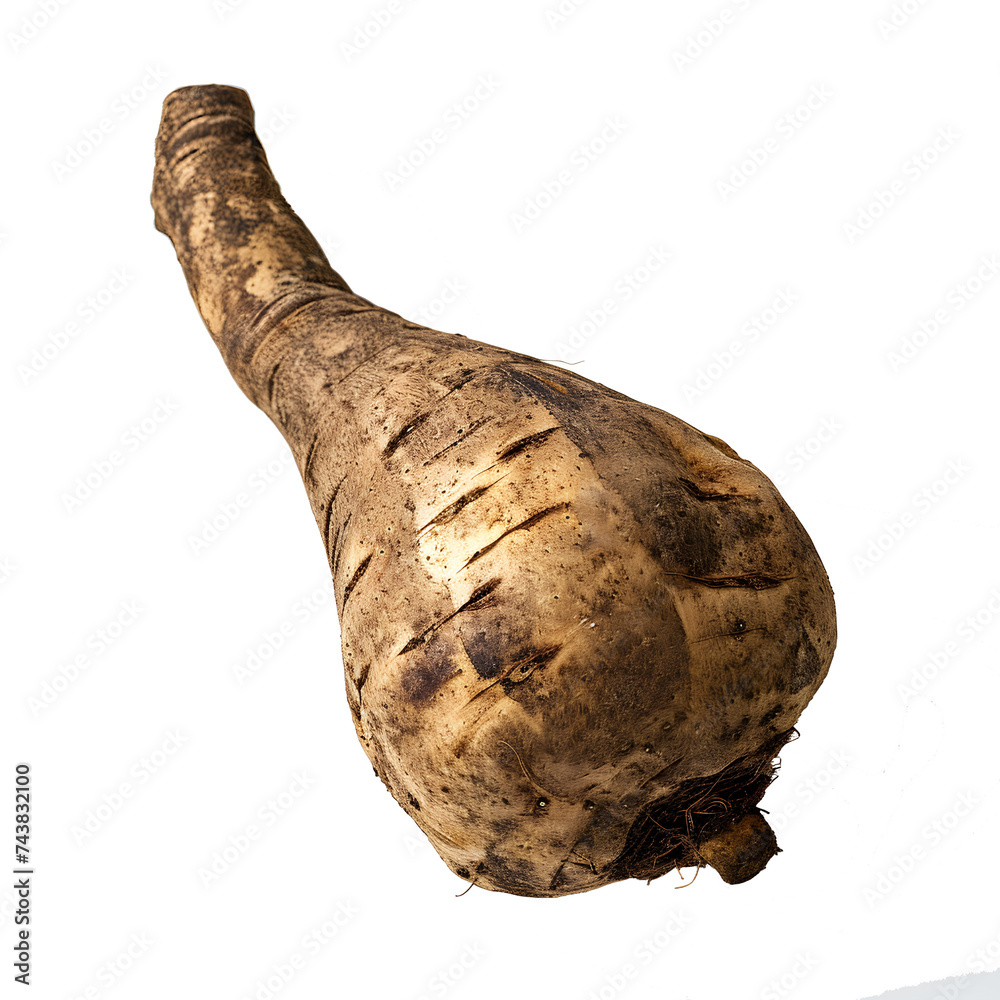 Taro isolated, transparent background white background no background ...