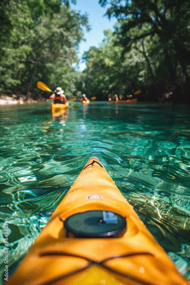 Eco-tourists are kayaking in a clear, unpolluted river, highlighting ...