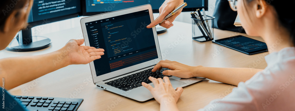 Two smart cooperative computer engineers working together as teamwork ...