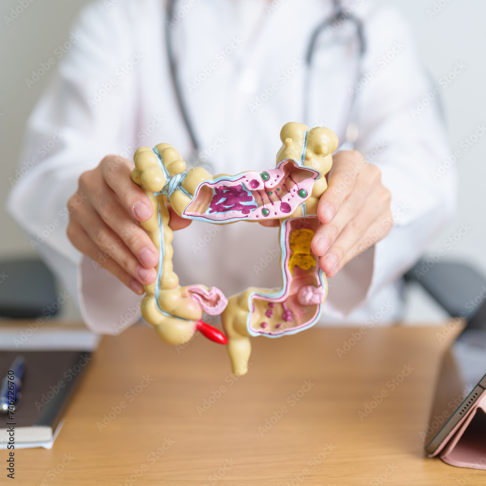 Fotografie Doctor with human Colon anatomy model and tablet. Colonic ...