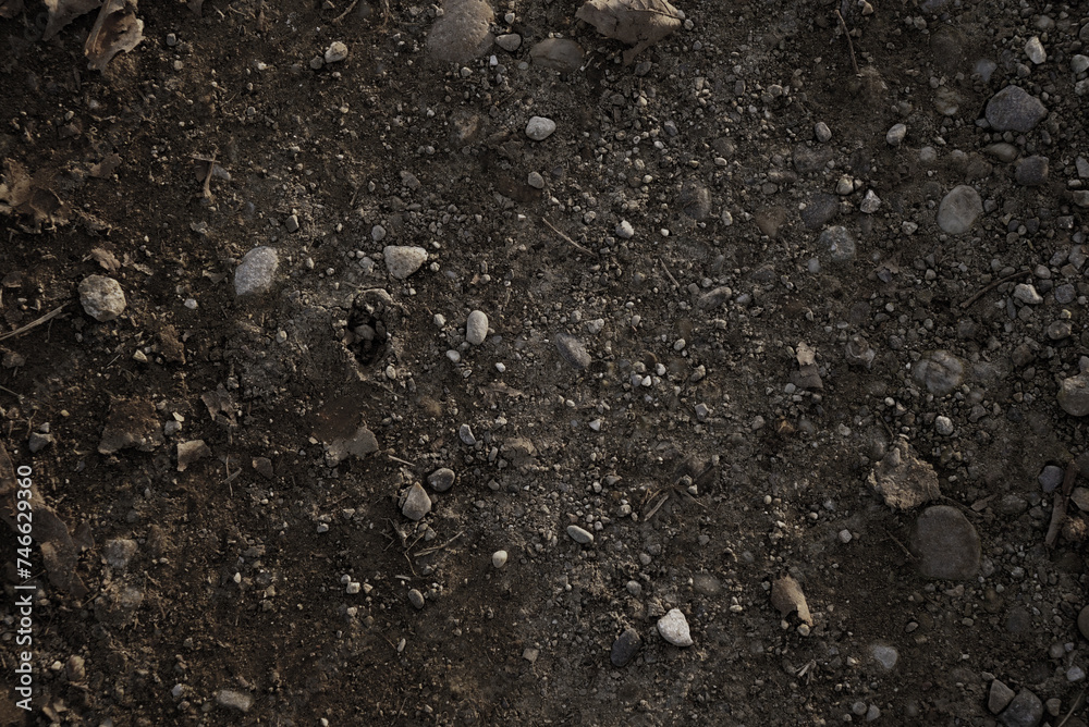 soil background, natural rocky ground Stock Photo | Adobe Stock