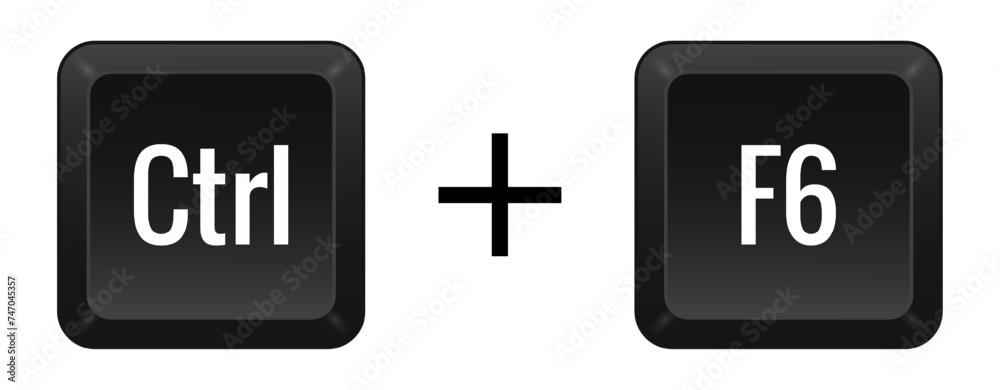 Image vectorielle Stock CTRL F6 Key combination. Keyboard, control, computer, shortcut, laptop ...