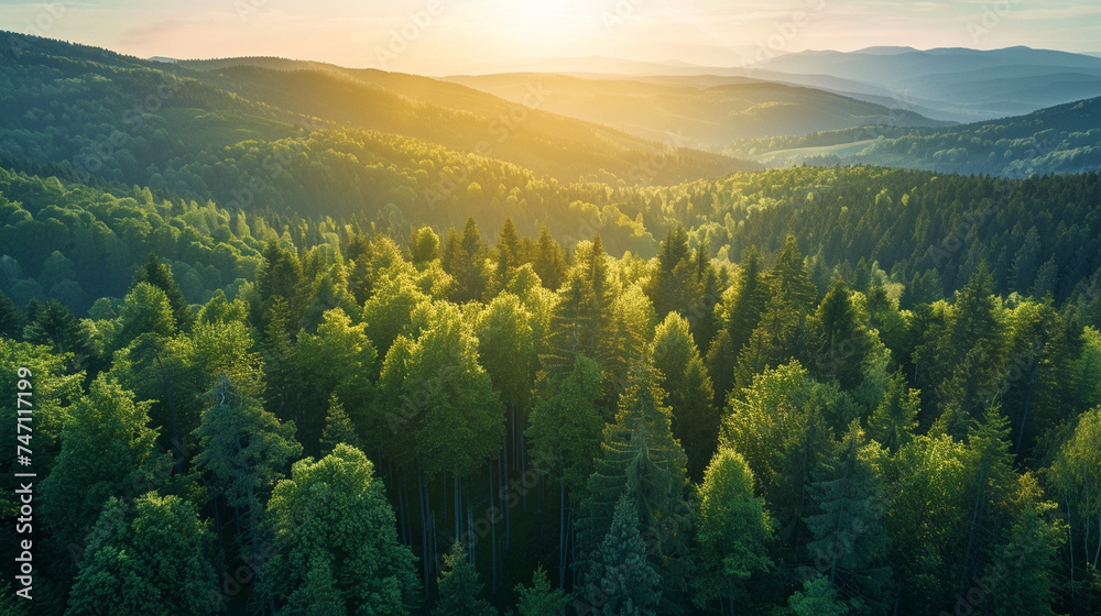 A carbon offset platform offering a range of carbon reduction projects ...