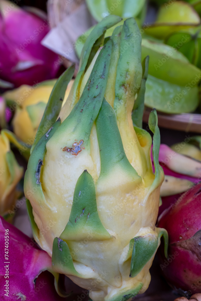 White flesh dragon fruit or white-fleshed pitaya has a pink and magenta ...