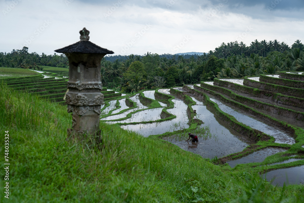 Subak is a traditional Balinese irrigation system based on mutual ...