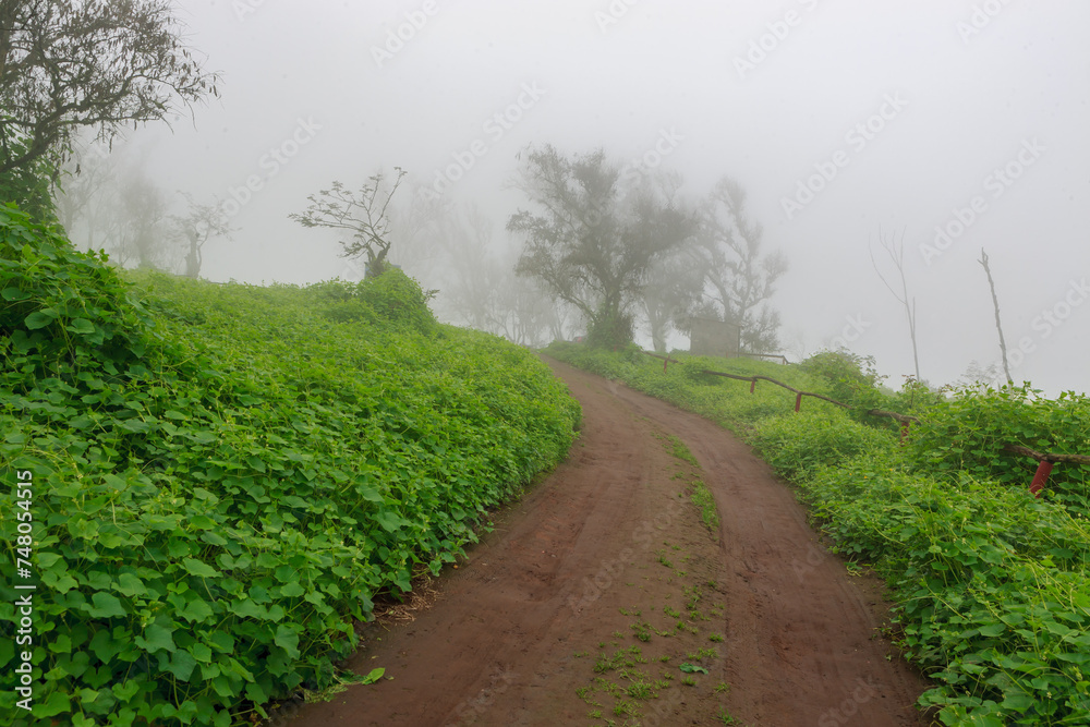 The Lomas of Lachay is a national natural reserve, one of the most ...