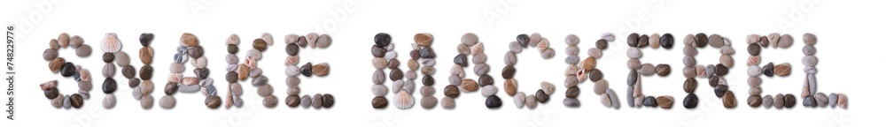 Fotografie The word "SNAKE MACKEREL" is lined with shells and stones of ...