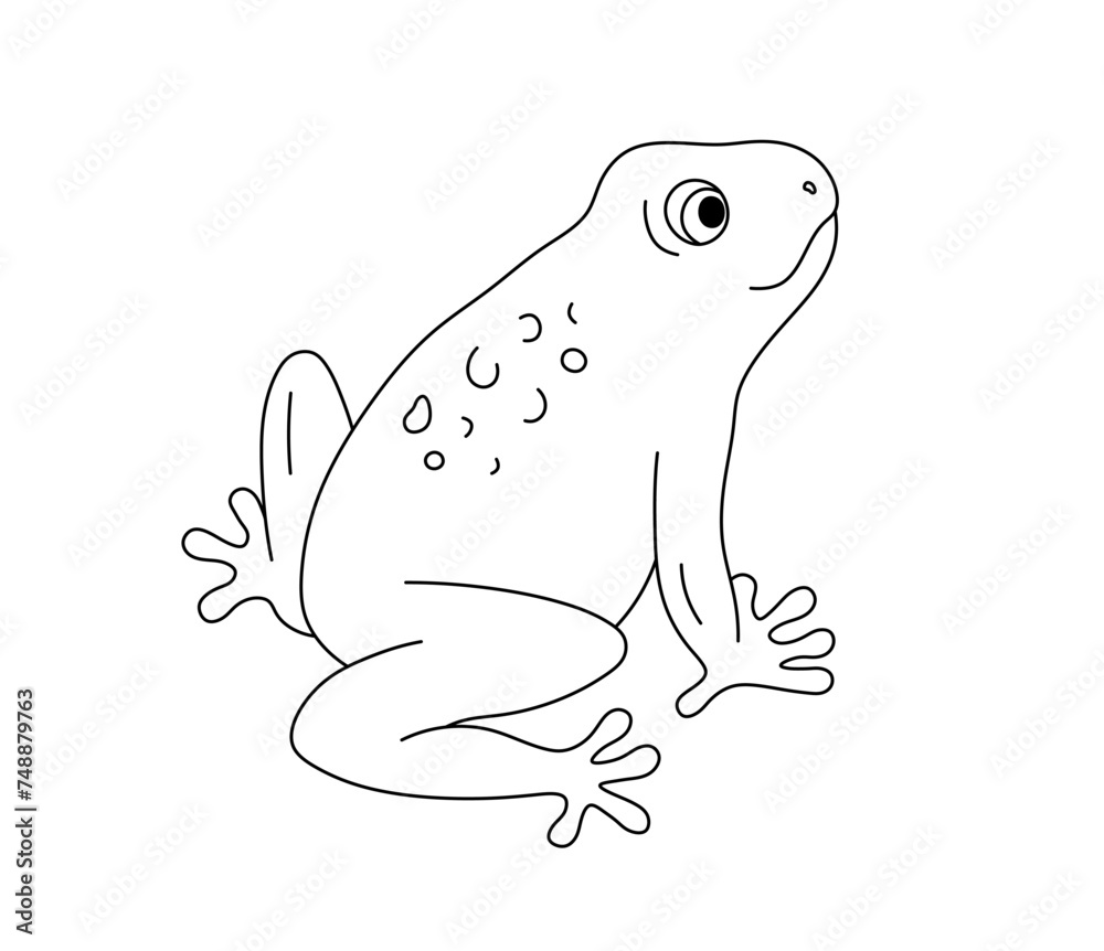 Vector isolated one single frog toad side view back view colorless ...