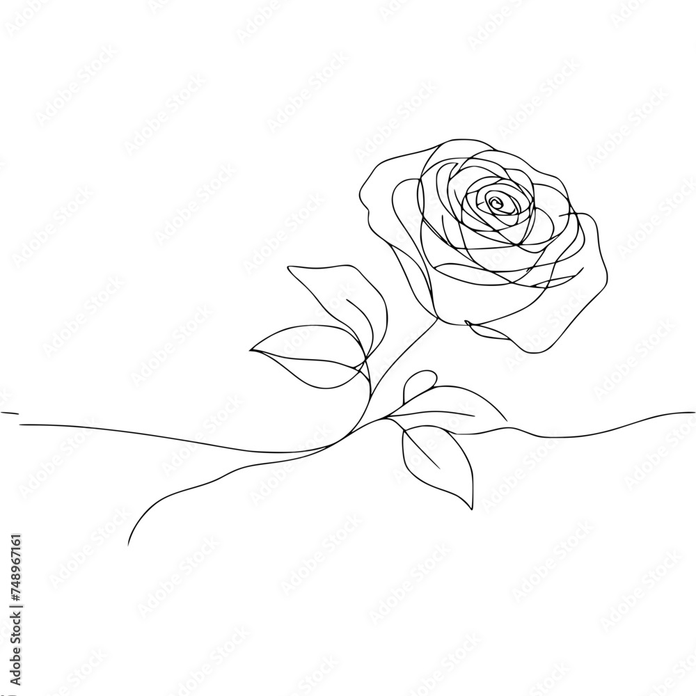 Rose with leaves without thorns, vector drawing, minimalistic black ...