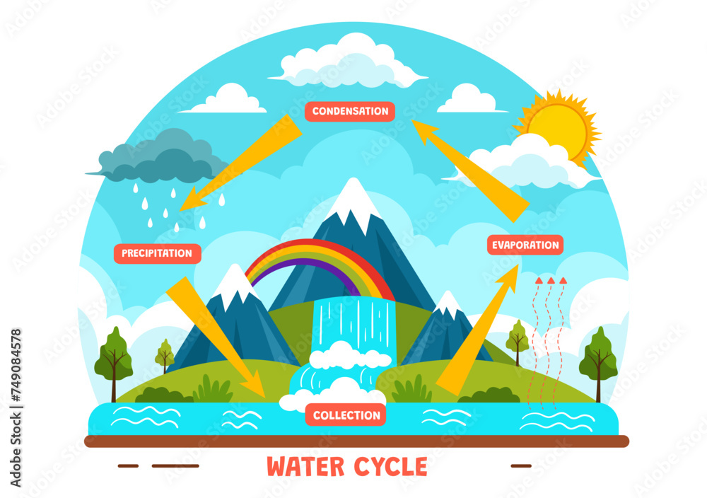 Water Cycle Vector Illustration with Evaporation, Condensation ...