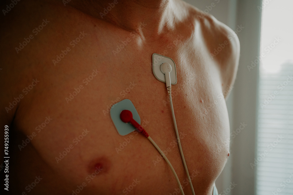 Cardio health revealed: Natural light illuminates the intricate ...