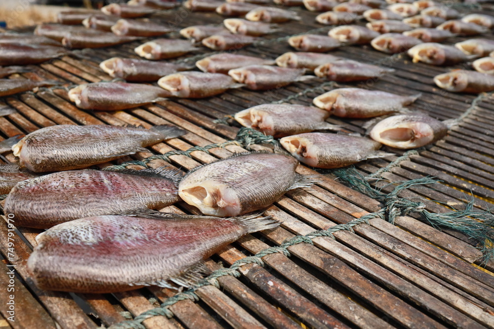 Gourami is a type of freshwater fish. The scientific name is ...