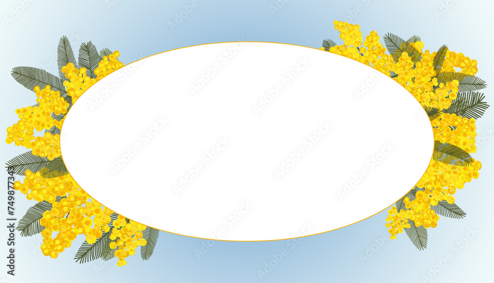 Mimosa flowers floral frame border. Oval blossom background, background ...