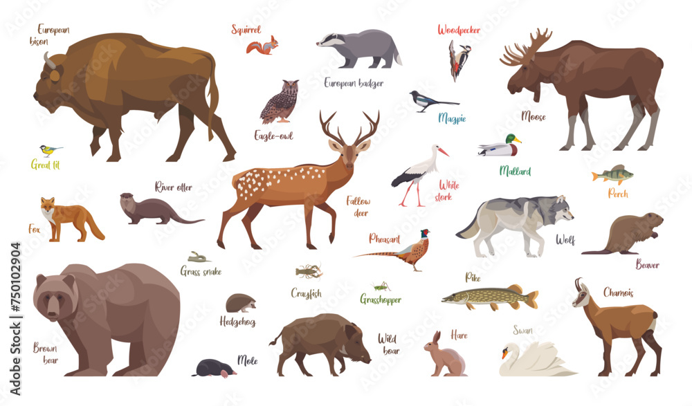Flat set of european animals. Isolated animals on white background ...