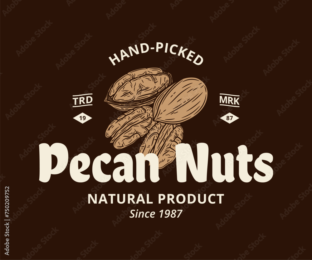 Image vectorielle Stock Vector pecan vintage logo. Nuts label design. Pecan nut kernels and ...