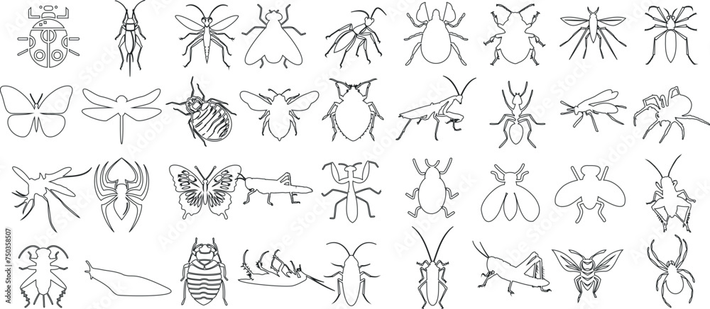 Insect line art collection, detailed insect drawings of diverse species ...
