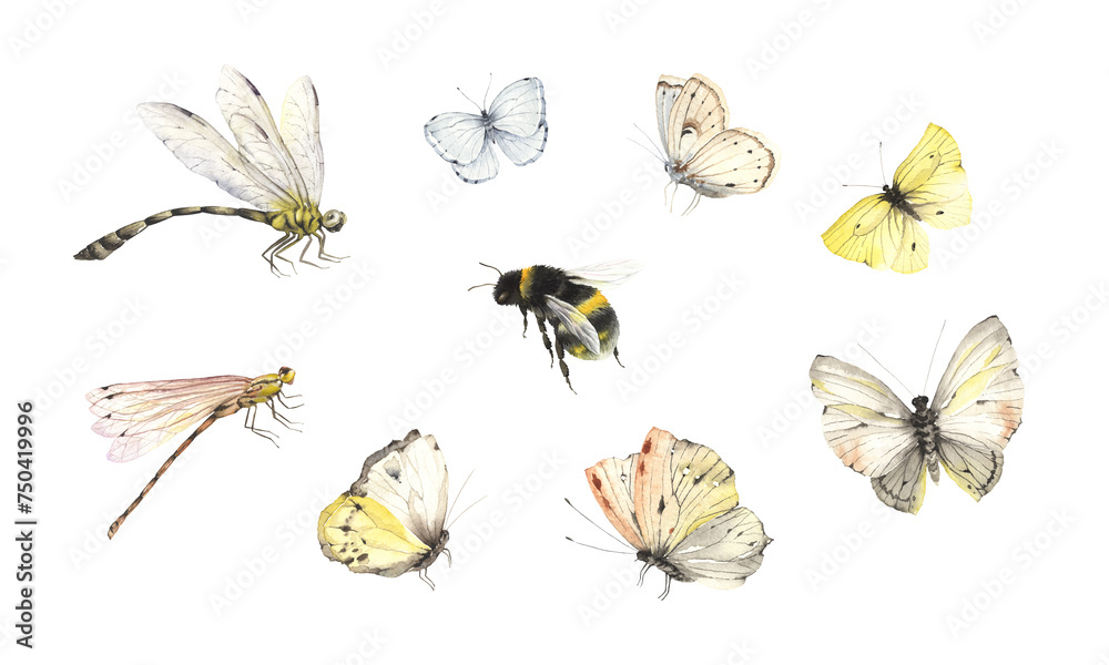 Ilustración de Stock Set of flying insects, watercolor isolated ...