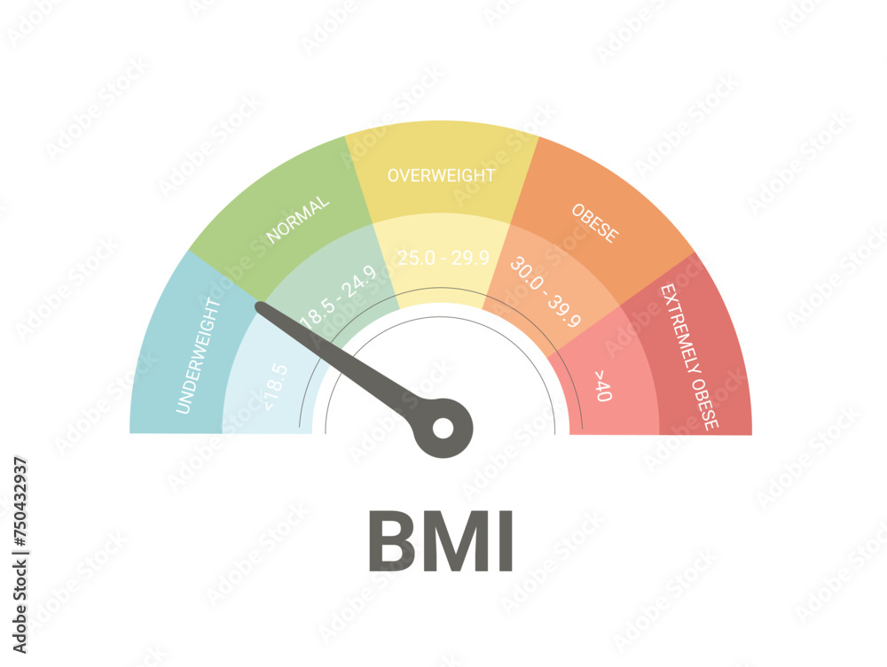 Body mass index infographic isolated on white background. Obese ...