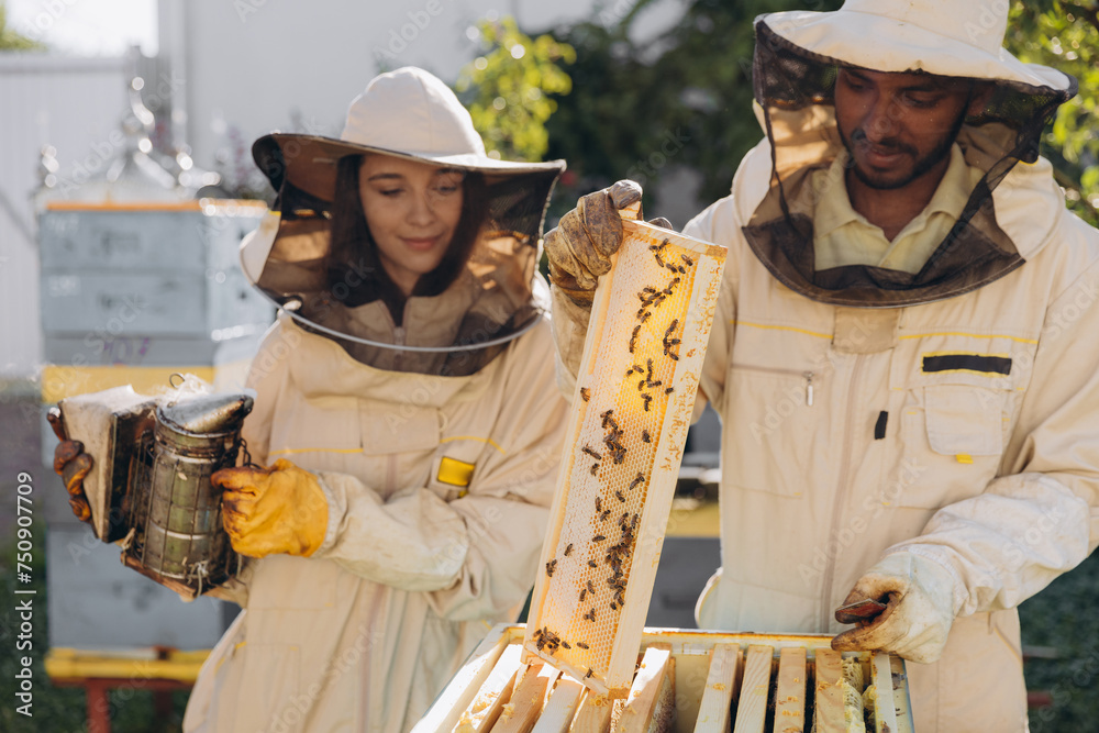Happy woman beekeeper holding smoker by indian man apiarist examining ...