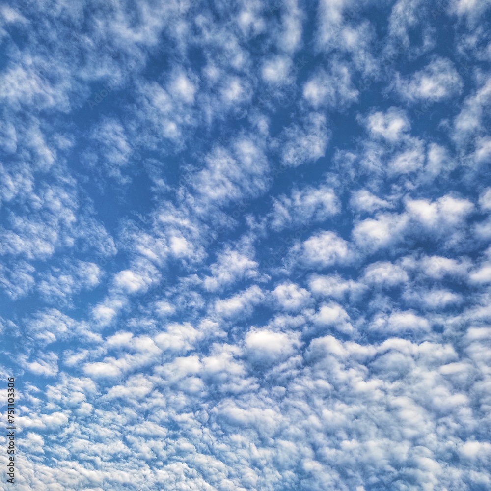 Clumps of clouds with beautiful blue clouds photographed during sunny ...
