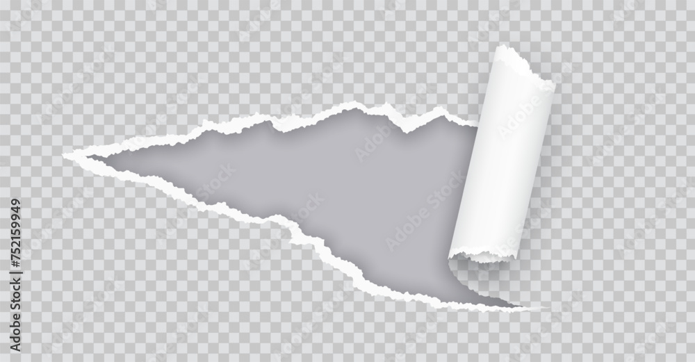 Torn paper rolled strip over grey realistic vector illustration. Teared ...