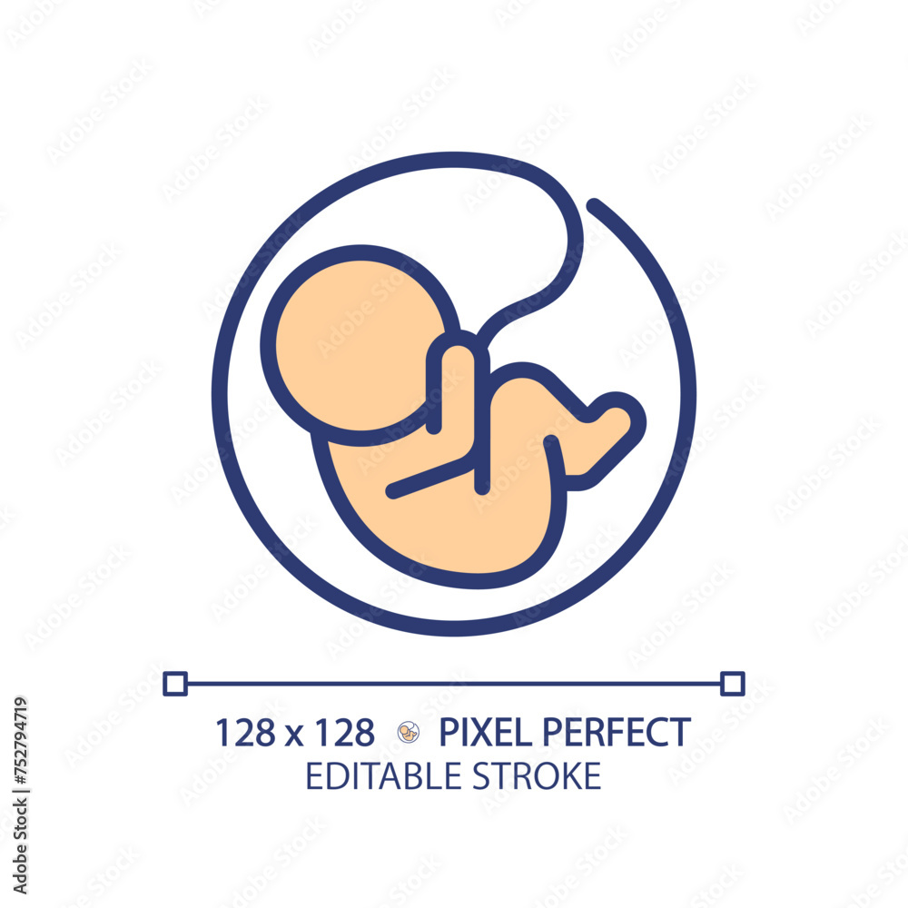 Embryo RGB color icon. Pregnancy anatomy. Human reproduction biology ...