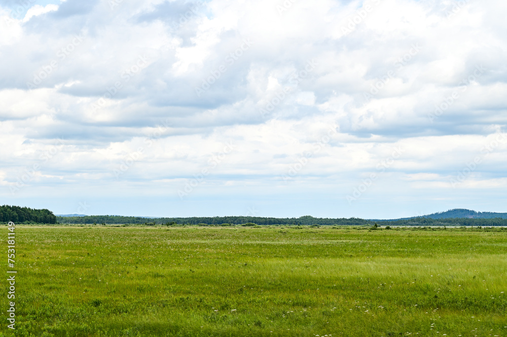 Typical landscape of the Store Mosse National Park as the largest moor ...