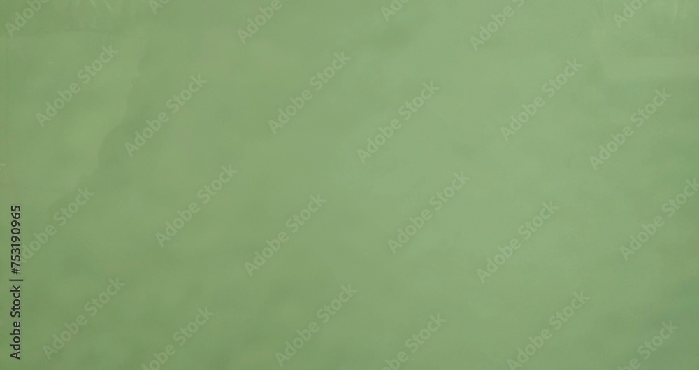 Smooth and soft blank rectangle lite green colour elegant luxury ...