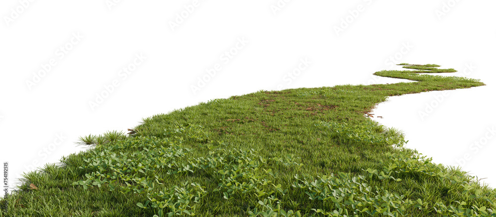 Grass path isolated on transparent background. 3D rendering. Stock ...