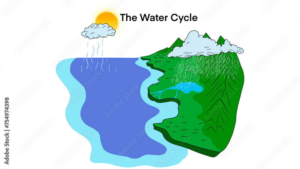 The water cycle diagram, representation of the water cycle in nature ...