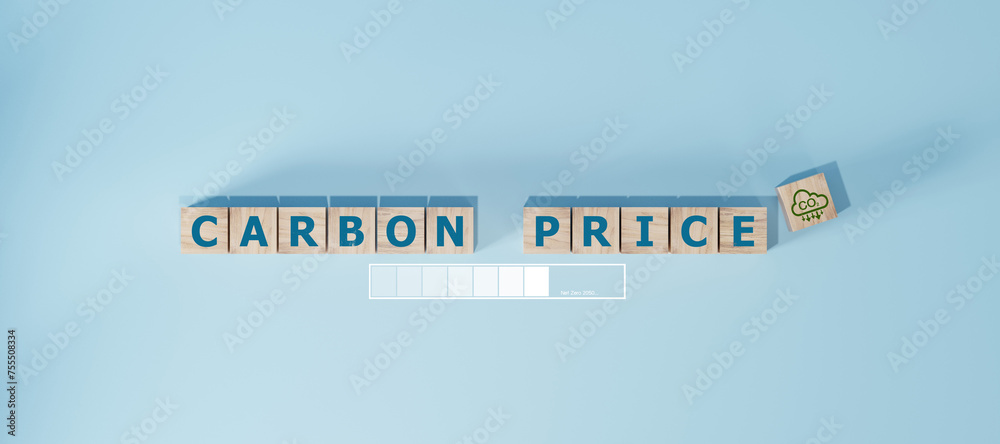 Word "CRABON PRICE" spelled out in blue text on wooden blocks. net zero ...