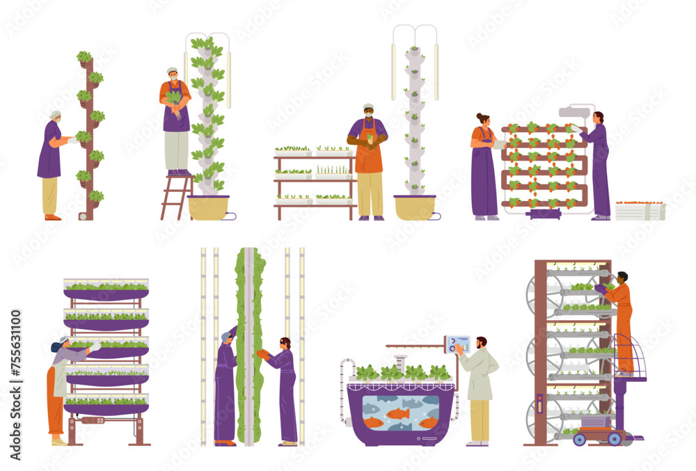 Vertical farming flat vector illustrations set isolated on white ...