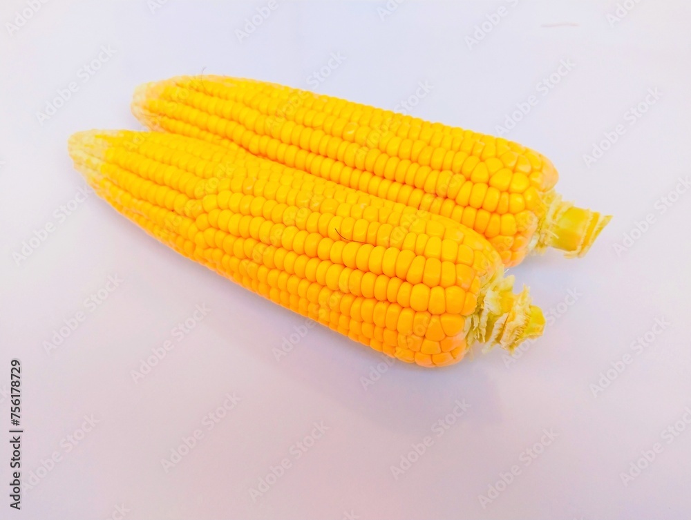 Maize cobs yellow whole ear-maize sweet corns on the cob ear-corn ...
