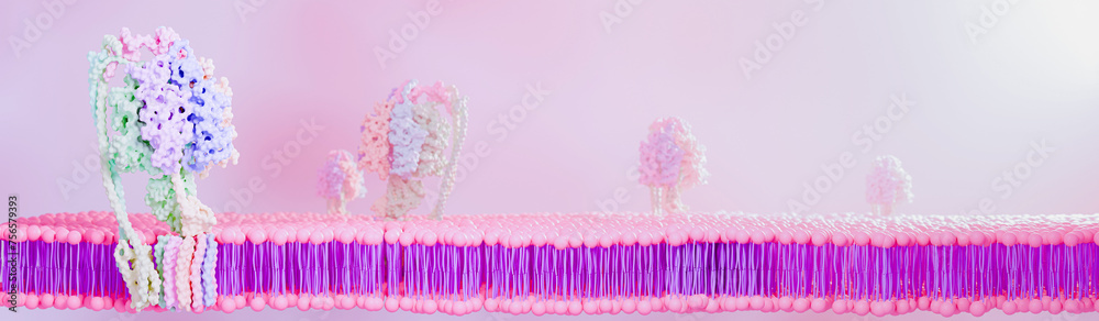 Simulated image of cell membrane, a component of cell wall proteins ...