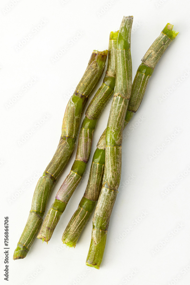 Chinese herbal medicine fresh stem of dendrobium officinale on white ...