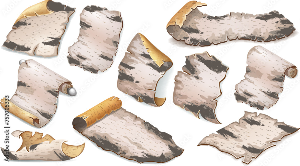 Cartoon birch bark of magic spells and witchcraft, old paper, scroll ...