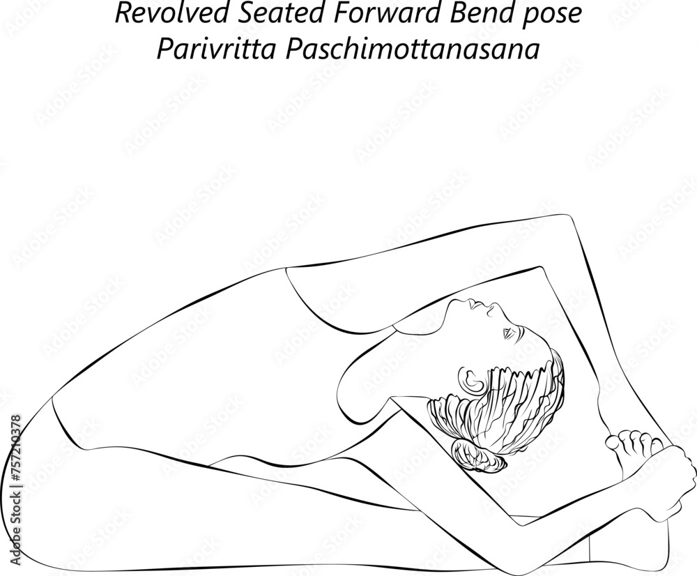 Sketch of woman doing yoga Parivritta Paschimottanasana. Revolved ...