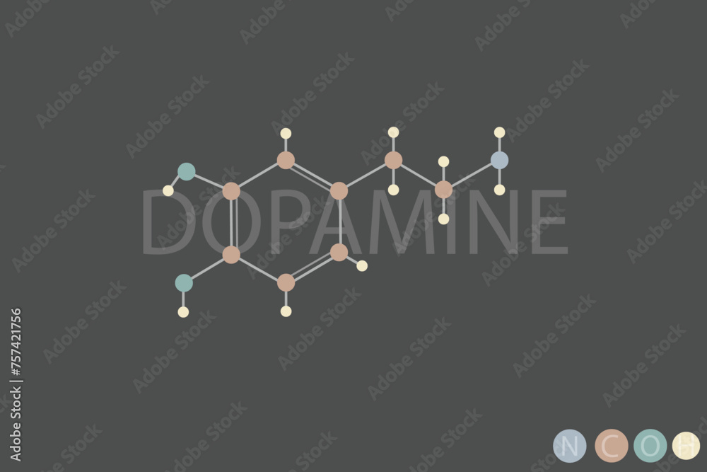 dopamine molecular skeletal chemical formula Stock Vector | Adobe Stock