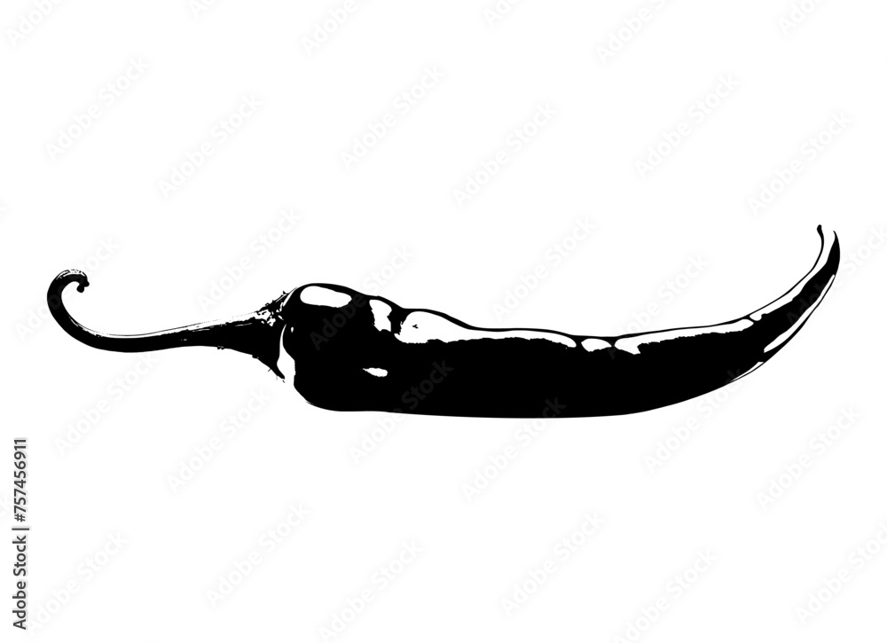 realistic long chilli pepper vector eps illustration isolated on white ...