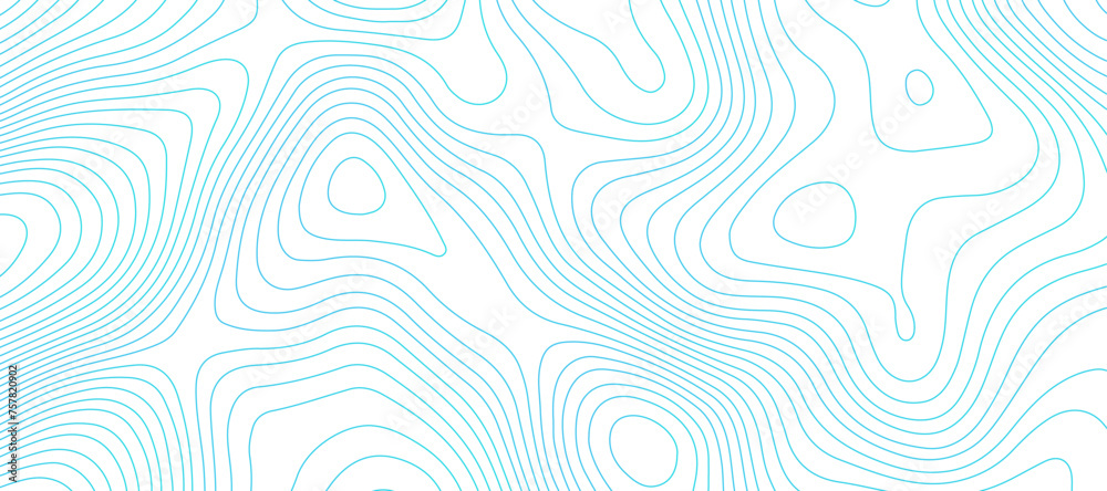 Topographic map background geographic line map pattern .panorama view ...