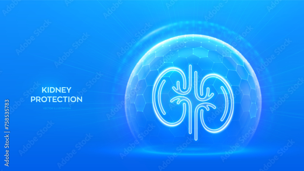 Kidneys care. Healthy kidneys medical concept. Human kidney anatomy ...