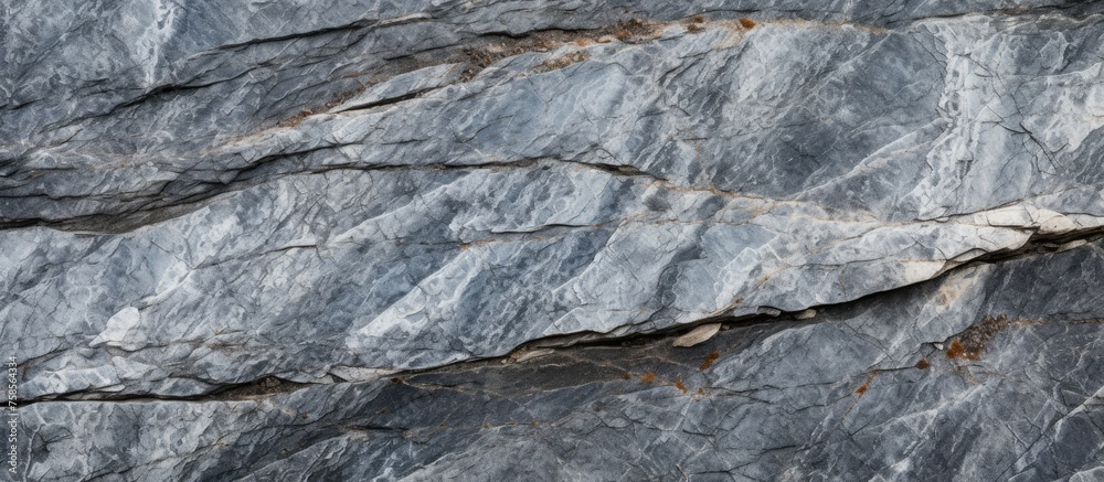 A detailed closeup of a bedrock outcrop reveals the intricate texture ...