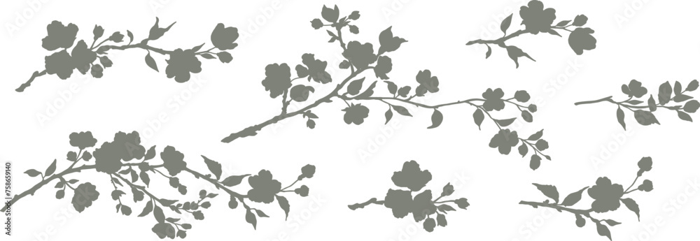 Spring set of flowering branches. Hand drawn sakura branch with flowers ...