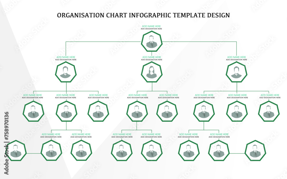 6 side multi level hexagon shape organizational chart infographic ...