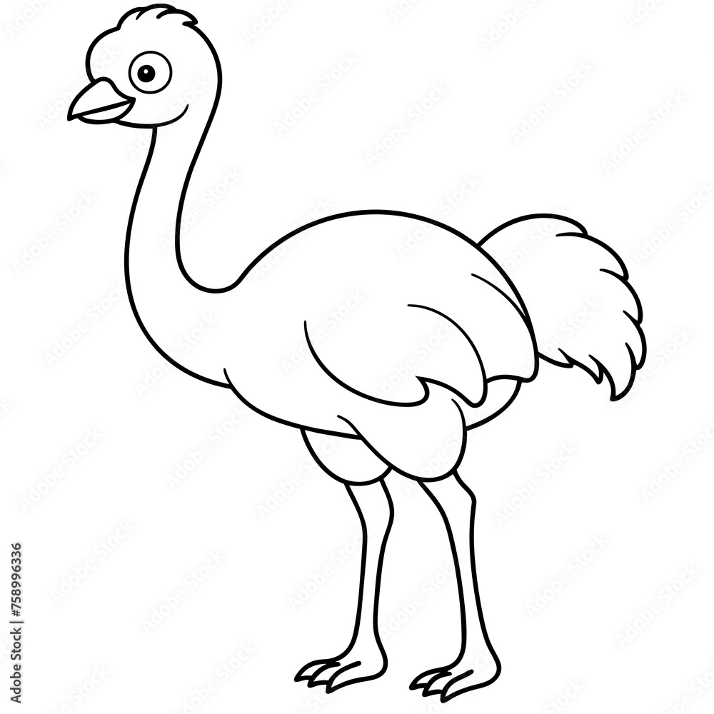 ostrich drawing using only lines, line art to color and paint. Children ...