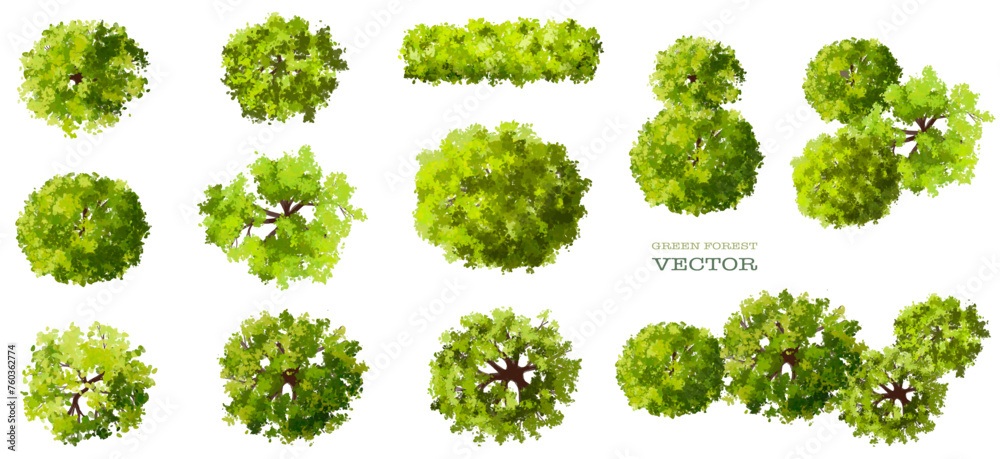 Vector watercolor green tree or forest top view isolated on white ...