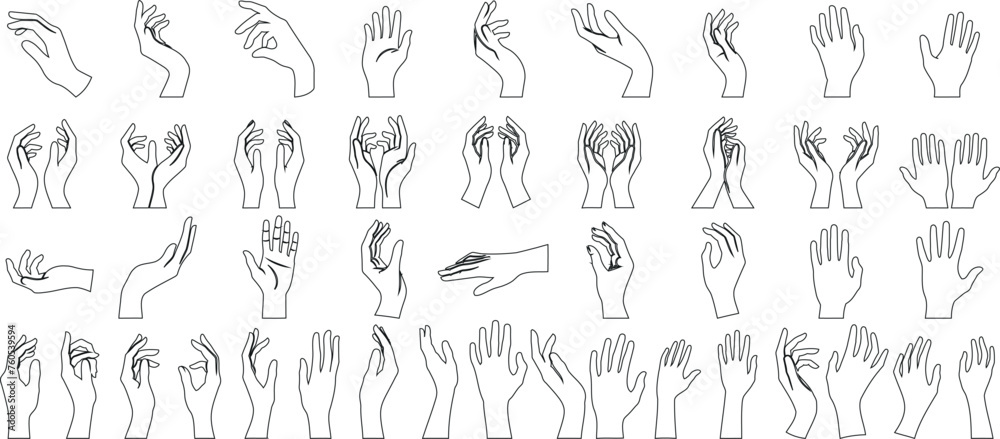 Expressive hand gestures, hands line art illustration. Ideal hand ...